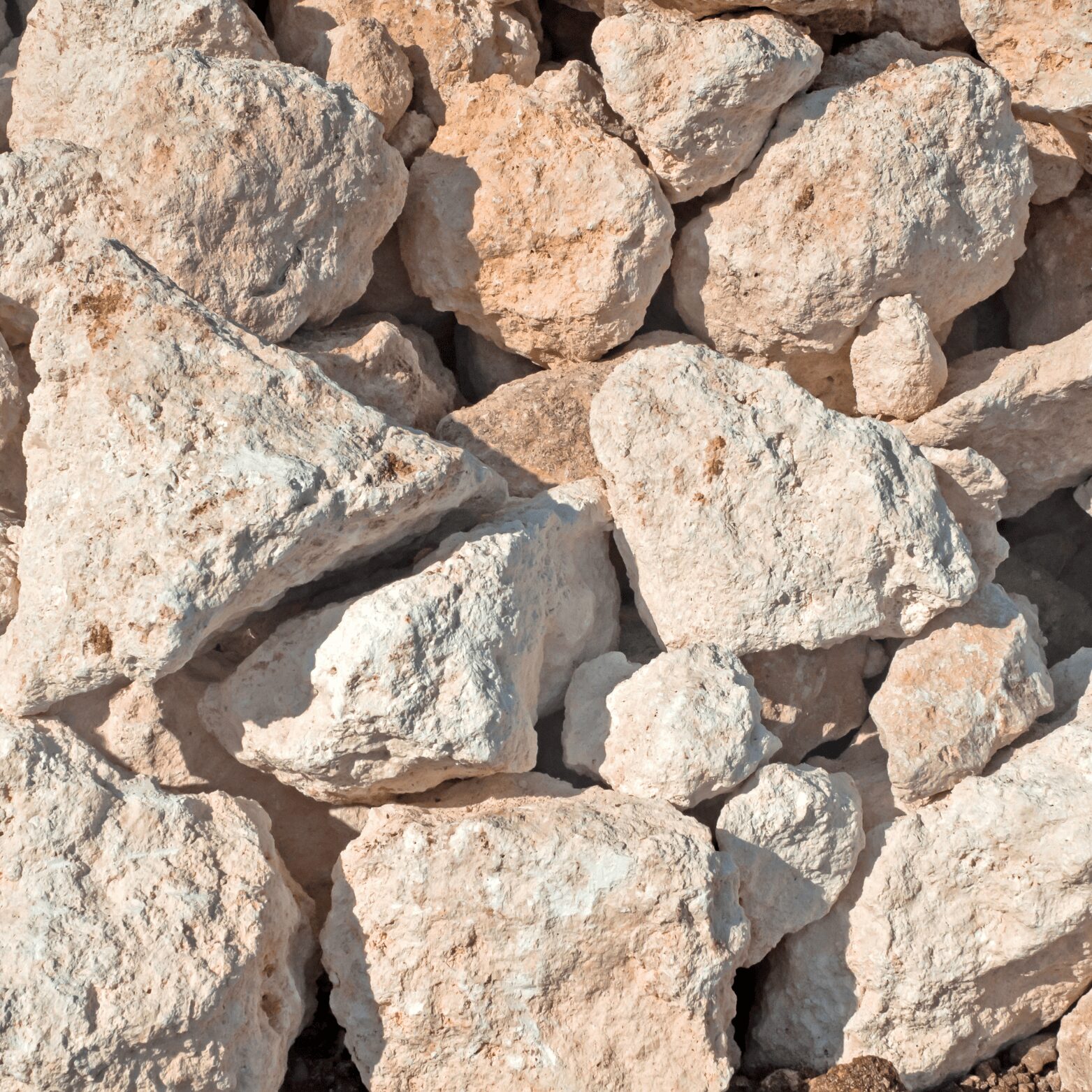 Pavitra Commotrade – Aniveer Group